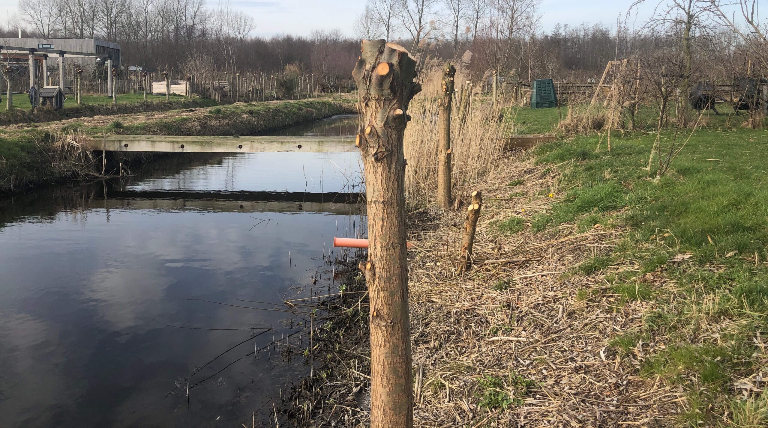 Riet- en ruigtekapper | Wilgen knotten en vlechten